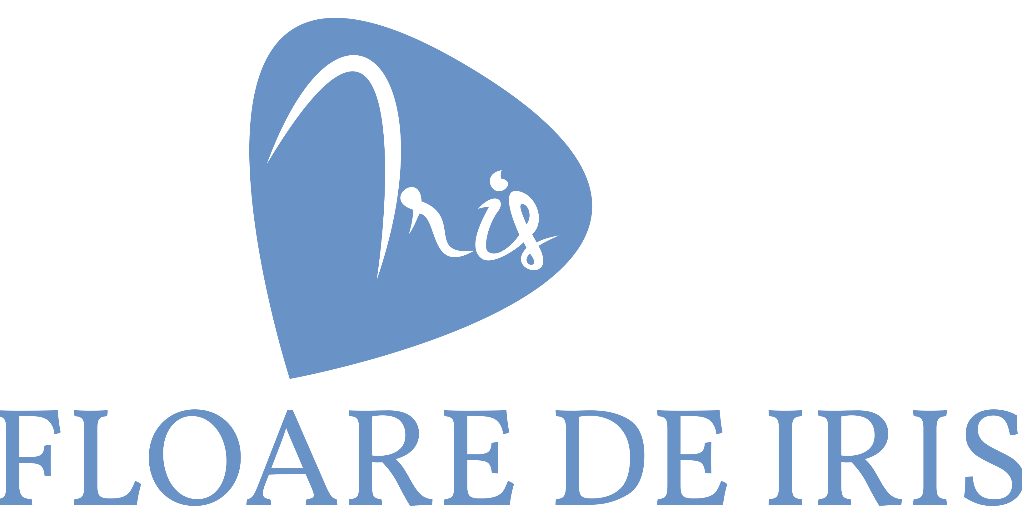 Publicarea cărții tale în 8 pași – Editura Floare de Iris